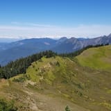 Skyline Divide Trail, Washington - 745 Reviews, Map | AllTrails