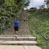 Swallow Cliff North Stairs, Illinois - 427 Reviews, Map | AllTrails