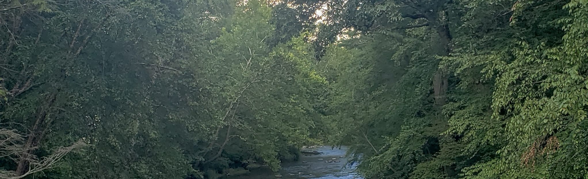 Deer Run Trail, Pennsylvania - 56 Reviews, Map | AllTrails