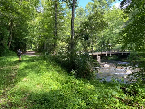 Best Lake Trails in Almond | AllTrails