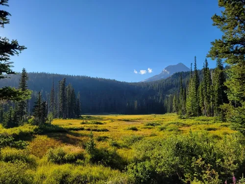 10 Best Hikes and Trails in Mount Hood National Forest | AllTrails