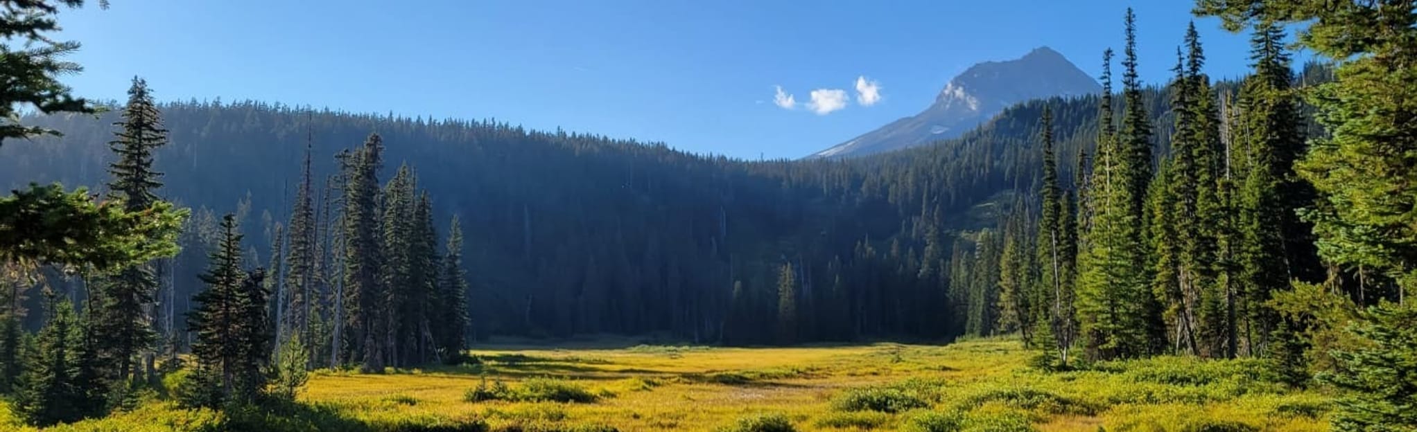 Umbrella and Sahale Falls Loop, Oregon - 1,815 Reviews, Map | AllTrails