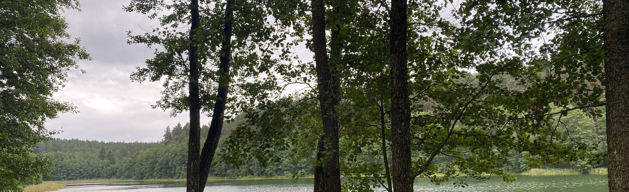 Meironu Nature Trail: 31 Reviews, Map - Utena, Lithuania | AllTrails