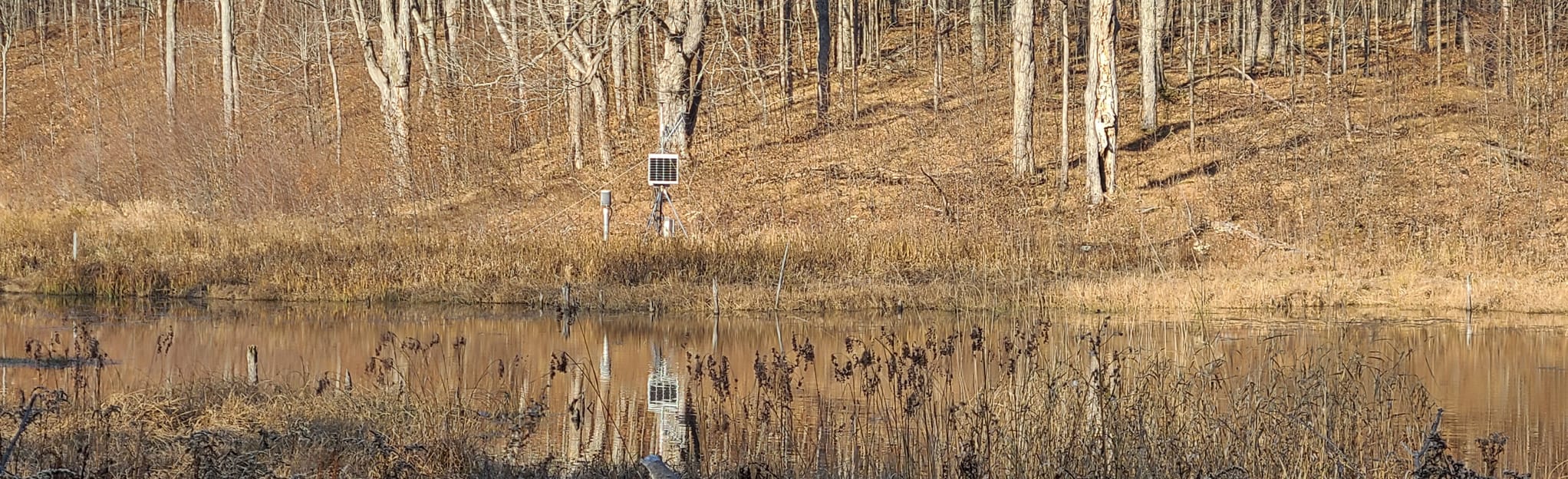 Skycroft Blue Loop: 12 Reviews, Map - Ontario, Canada | AllTrails