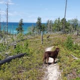 Two Hearted River, Michigan - 42 Reviews, Map | AllTrails