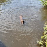 Two Hearted River, Michigan - 42 Reviews, Map | AllTrails