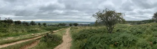 10 Best Hikes and Trails in Mendip Hills National Landscape (AONB ...