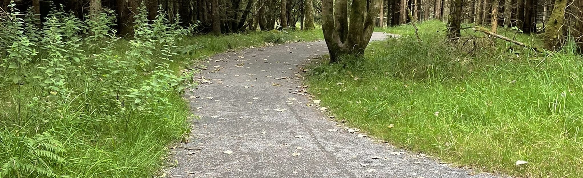 Center Parcs Longford Forest: 32 foto - County Longford, Irlanda ...