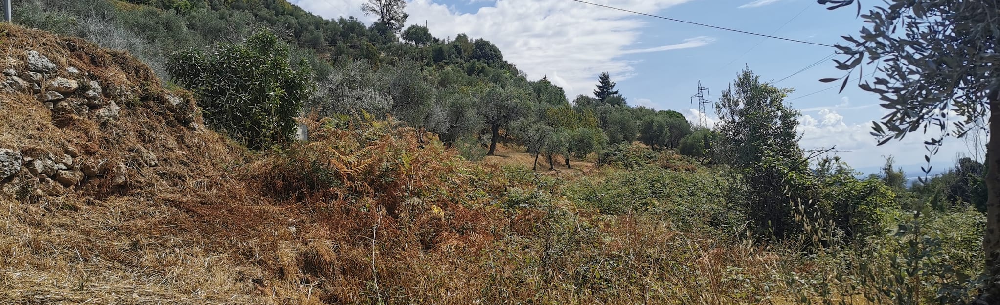 Seravezza - Capriglia - Valdicastello Carducci | FTM 2020: 94 foto ...