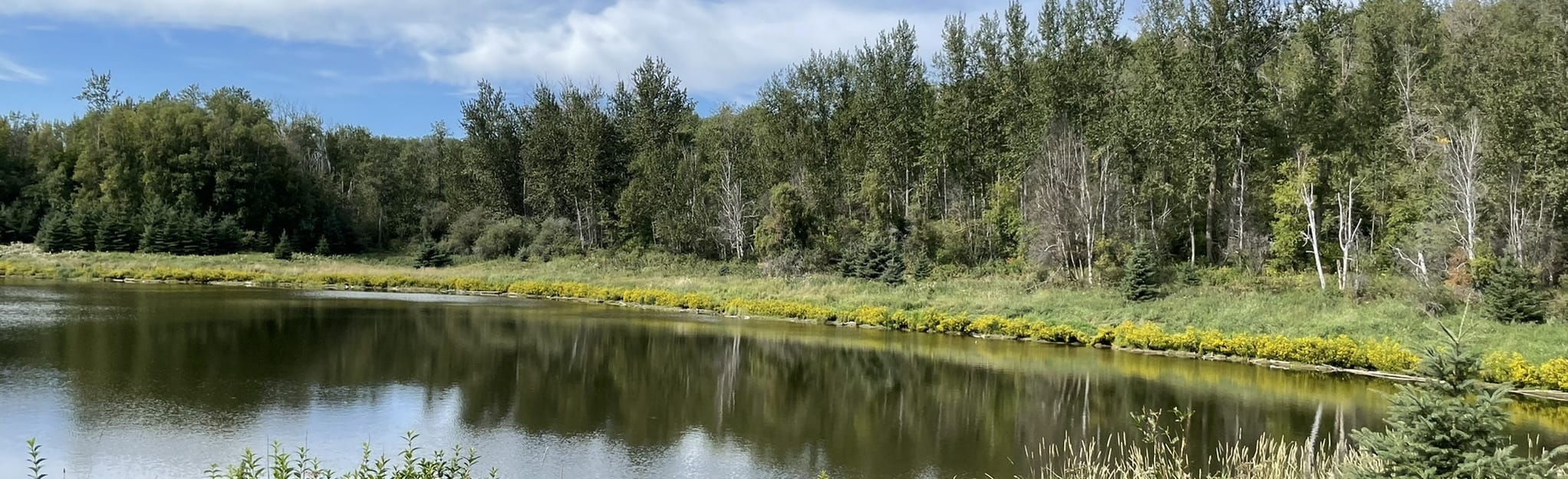 Chickakoo Lake Nature's Way Loop, Alberta, Canada - 226 Reviews, Map ...