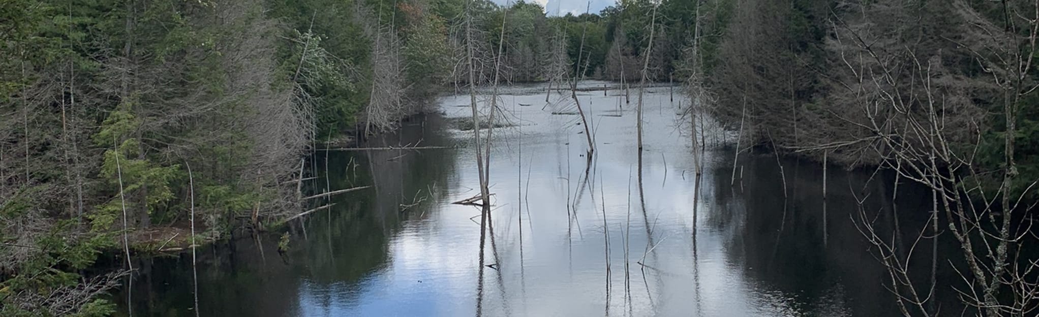 Whitestone Lake Inner Recreational Trail: 61 Reviews, Map - Ontario ...