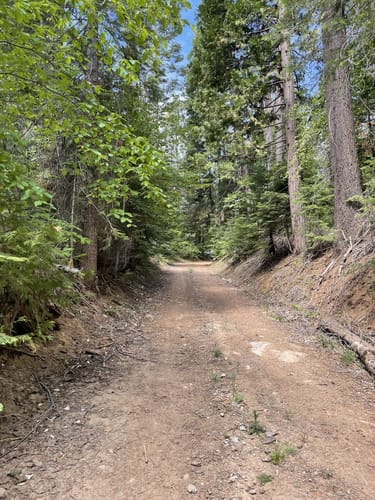 2023 Best Off Road Driving Trails in Stanislaus National Forest | AllTrails