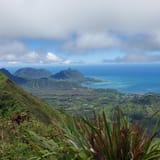 Manana Ridge Trail to Ko'olau Summit, Oahu, Hawaii - 172 Reviews, Map ...