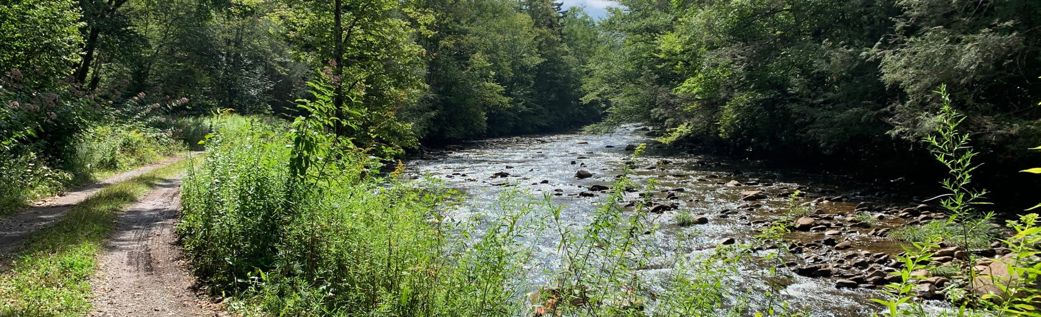 Cranberry Backcountry via Kennison Mountain Trail, West Virginia - 42 ...