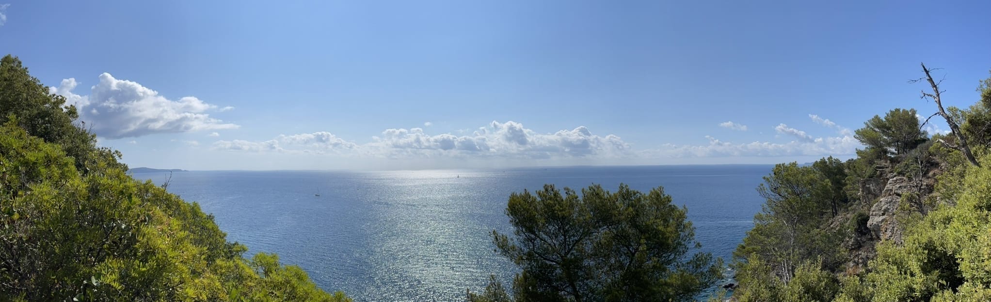 Rayol-Canadel-sur-Mer - Domaine du Rayol: 57 Fotos - Var, Frankreich ...