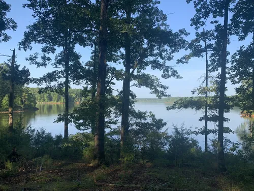 Best Hikes and Trails in Forest Ridge Park | AllTrails