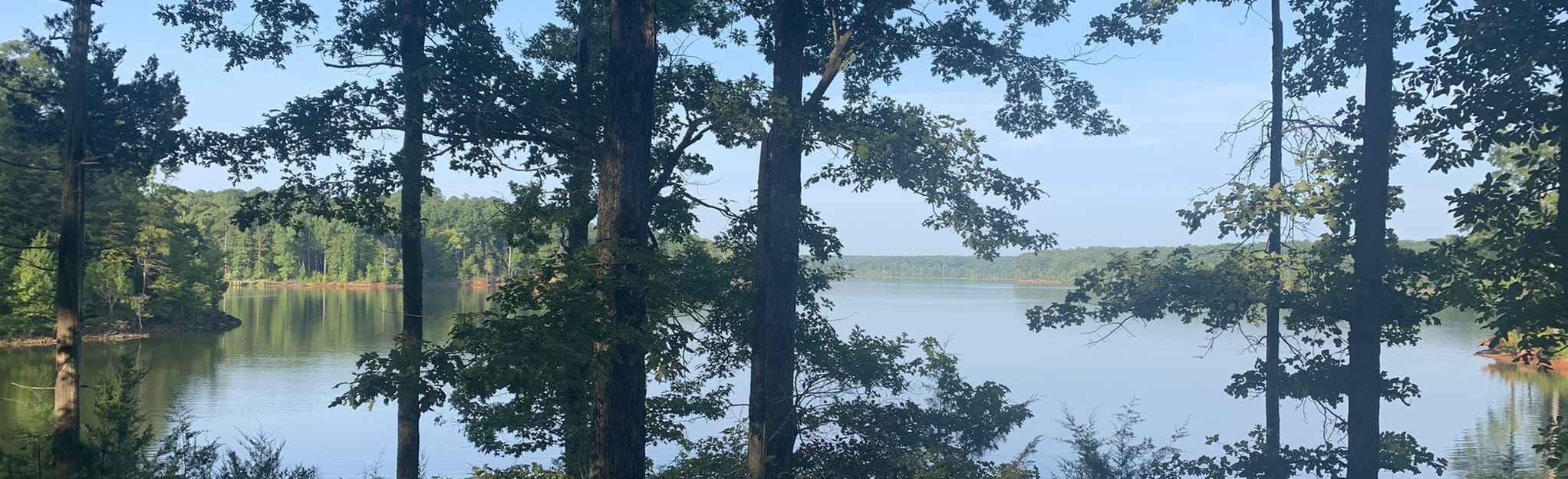 Forest Ridge Mountain Bike Trail: 312 Reviews, Map - North Carolina ...