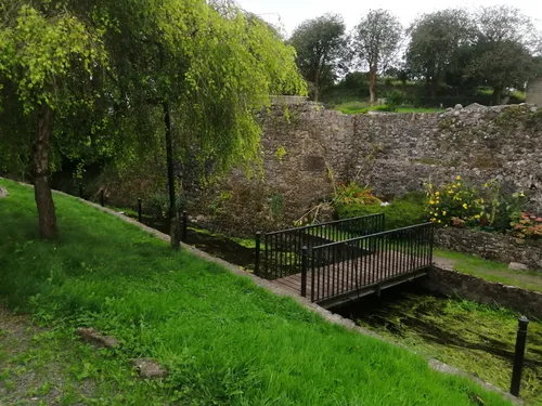 Best Hikes and Trails in Kinnitty Forest | AllTrails