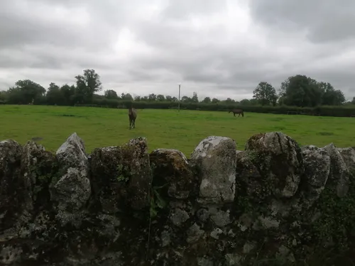 2023 Best Moderate Trails in Kinnitty Forest | AllTrails