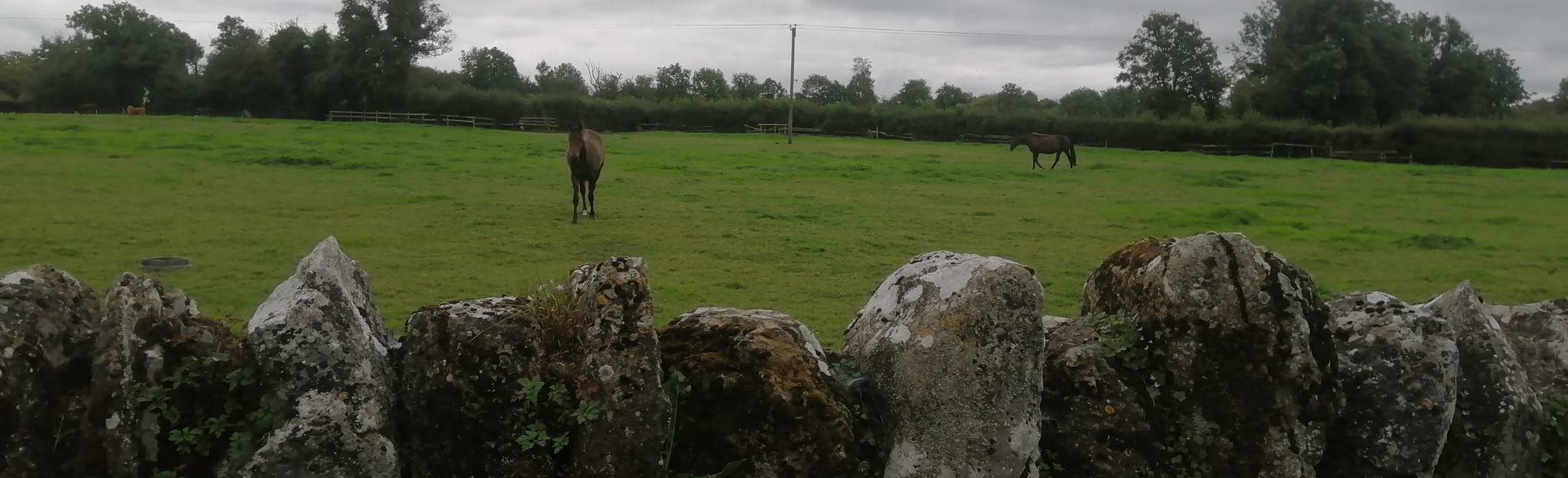 Shinrone and Little Brosna River Circular: 15 foto - County Offaly ...