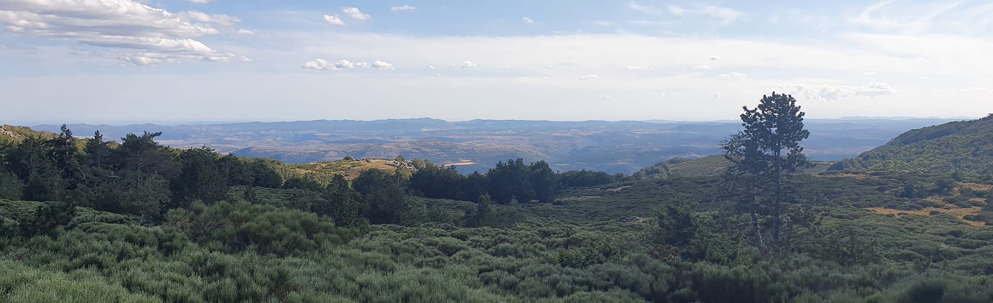 Col de l'Homme Mort - Le Garel - Les Condamines: 2 Fotos - Gard ...