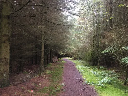 10 Best Walking Trails in Hexham | AllTrails