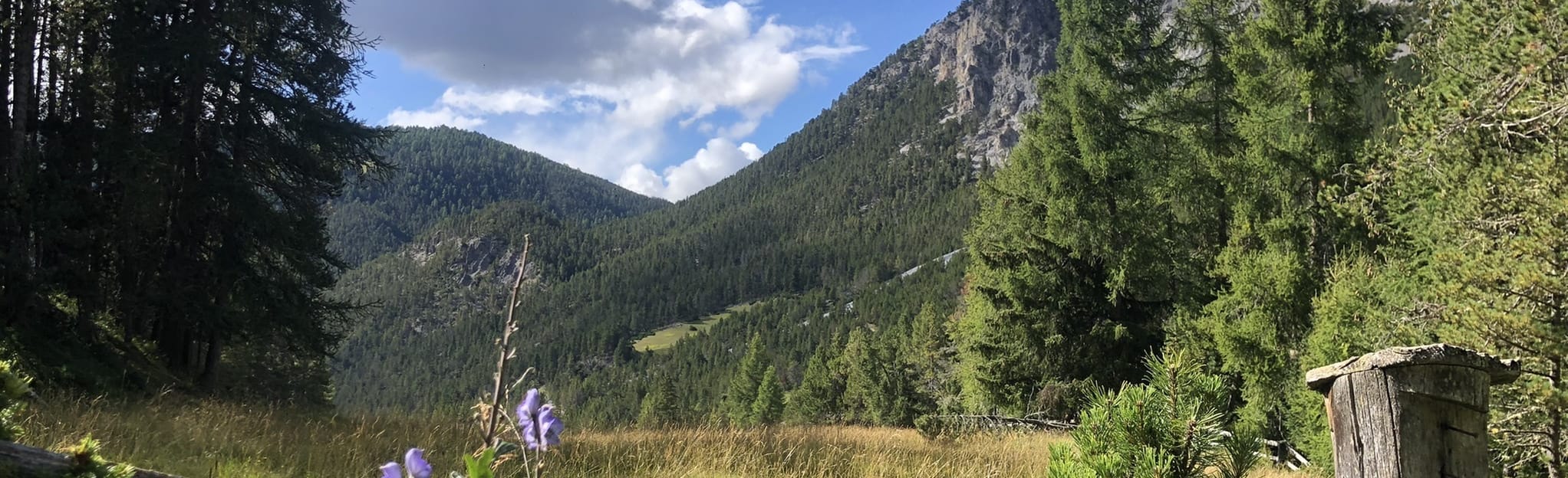 Il Fuorn - Piz Murters via Val dal Botsch: 10 Fotos - Graubünden ...