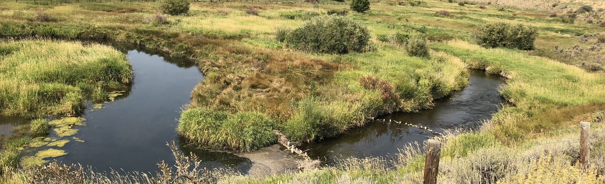 Glenwild to Flying Dog Trail: 14 Reviews, Map - Utah | AllTrails