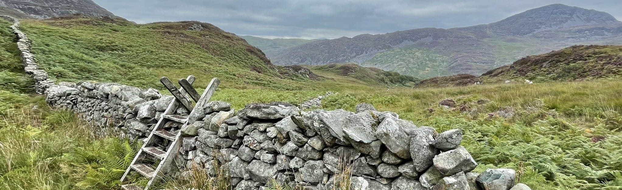 Rhinog Fawr via Roman Steps Circular: 128 Fotos - Gwynedd, Wales ...