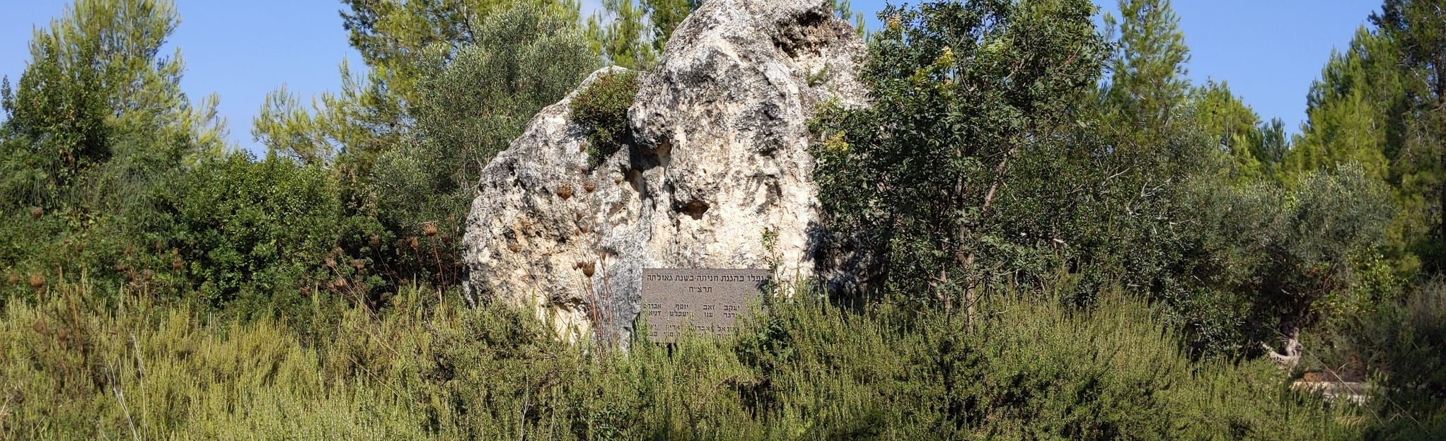 Hanita Forest and Ein Kovshim Ruins | Map, Guide - Northern District ...