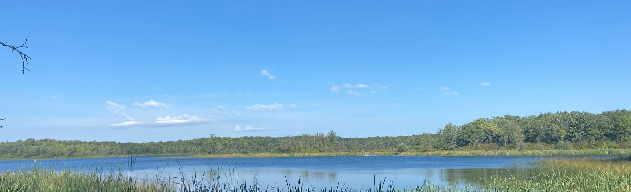 Adam Lake Trail, Manitoba, Canada - 44 Reviews, Map | AllTrails