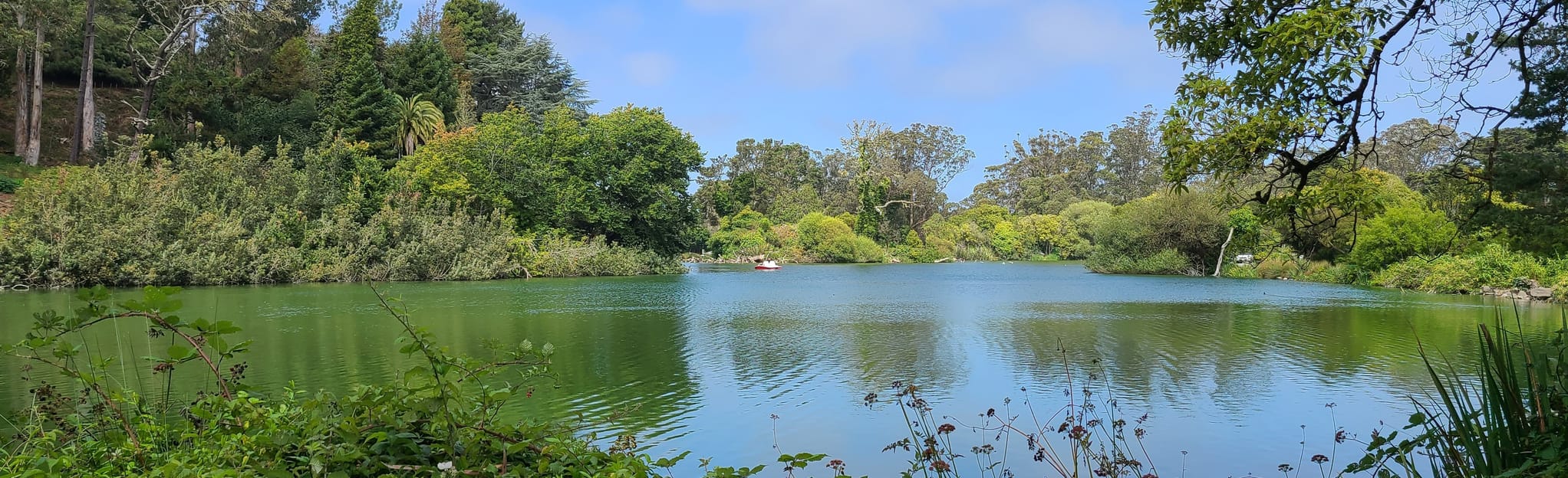 Golden Gate Park Loop, California - 1,179 Reviews, Map | AllTrails