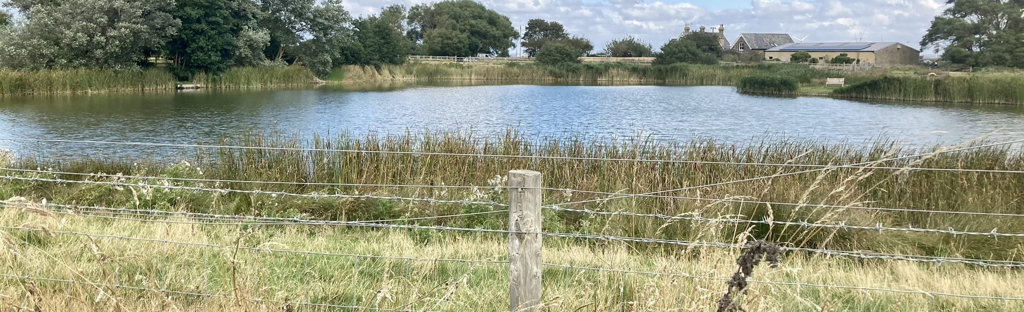 Rye to Camber: 62 Reviews, Map - East Sussex, England | AllTrails