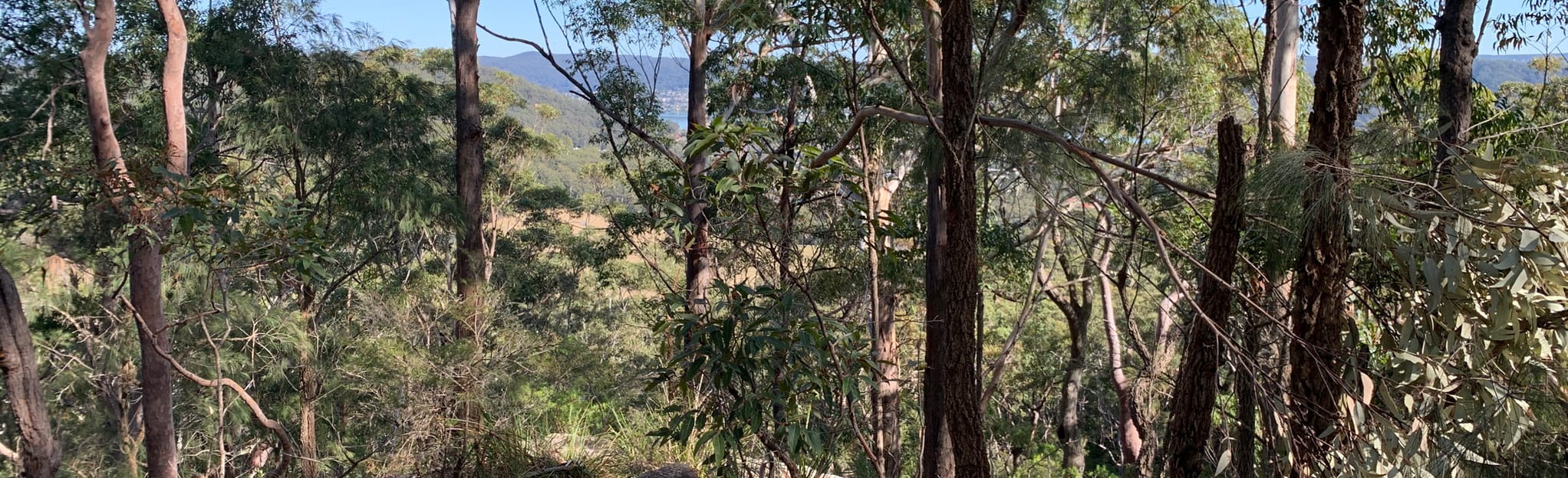 Warri Warri and Nyari Lookouts via Blue Hills Fire Trail, New South ...