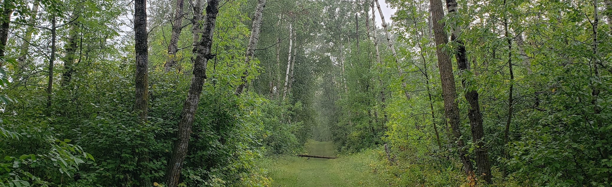 Adam Lake Shoofly Trail, Manitoba, Canada - 3 Reviews, Map | AllTrails