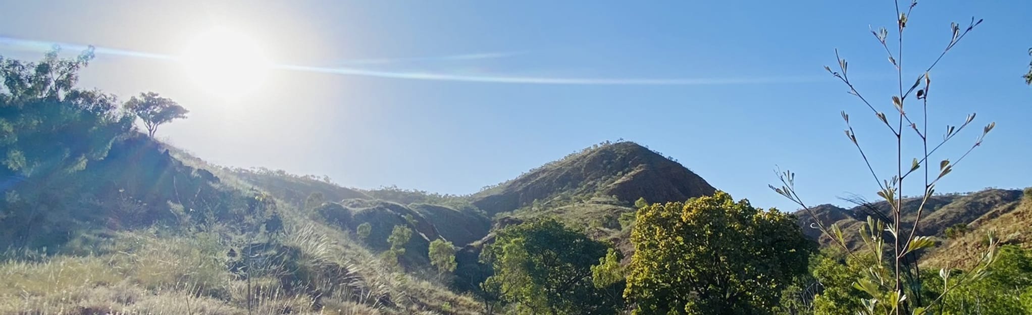 Molly Spring: 6 Reviews, Map - Western Australia, Australia | AllTrails