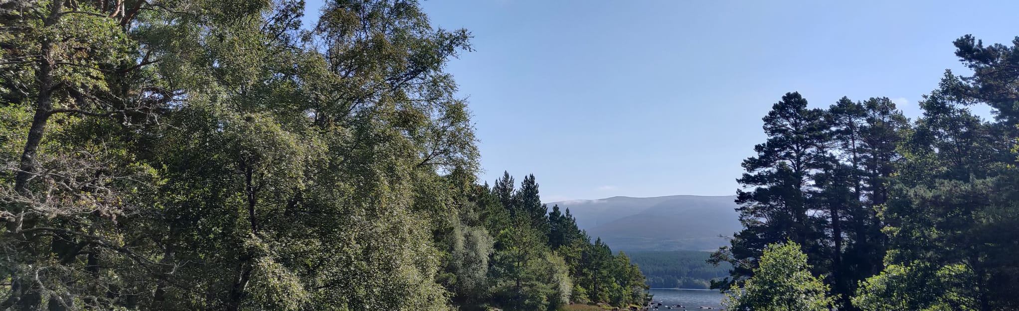 Loch Morlich, Highlands, Scotland - 296 Reviews, Map | AllTrails