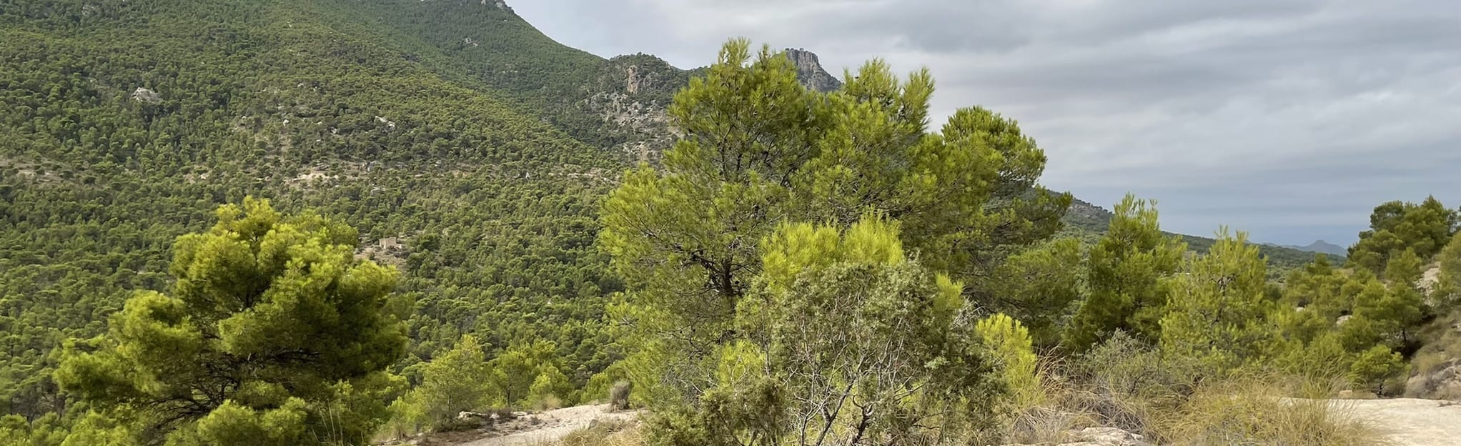 La Carrasca - Cuesta Alta - Virgen del Oro - Bolvax | Map, Guide ...