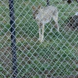 Sequoyah State Park Paved Trail, Oklahoma - 198 Reviews, Map | AllTrails