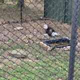 Sequoyah State Park Paved Trail, Oklahoma - 198 Reviews, Map | AllTrails