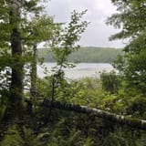 Berry Pond Trail, Massachusetts - 70 Reviews, Map | AllTrails