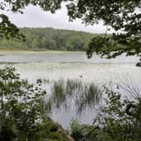 Berry Pond Trail, Massachusetts - 70 Reviews, Map | AllTrails