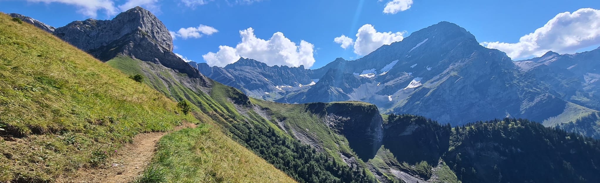 Barboleuse - Alpage de Bovonne - La Motte: 18 Fotos - Waadt, Schweiz ...