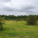 Greenham Common Circular, Berkshire, England - 187 Reviews, Map | AllTrails