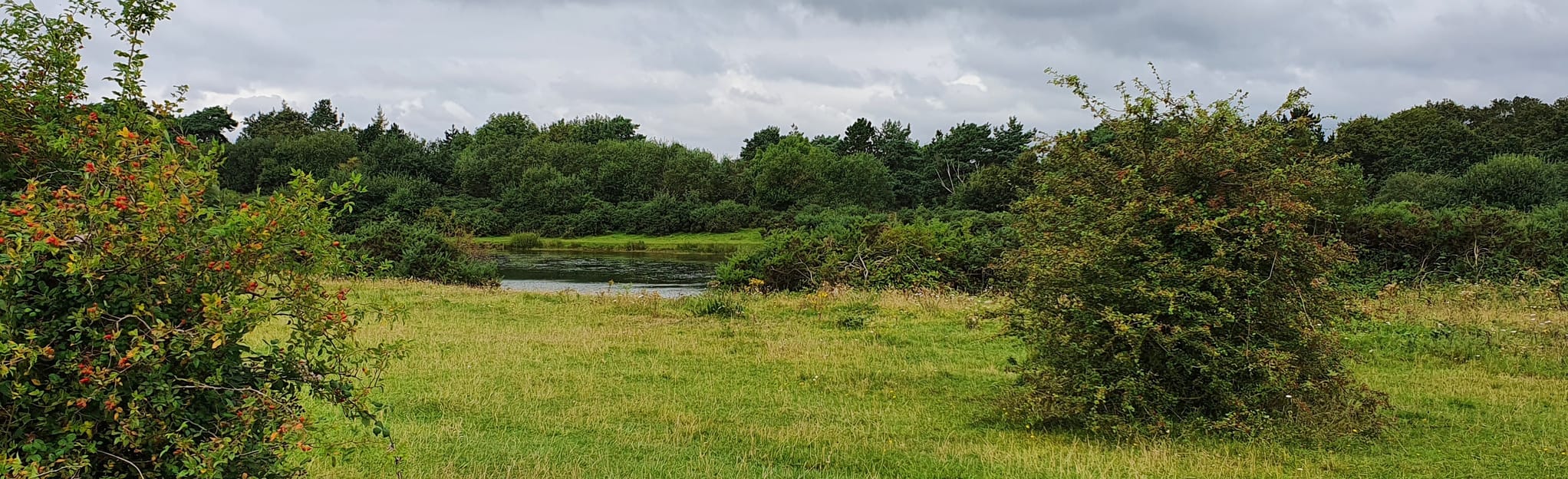 Greenham Common Circular: 121 Reviews, Map - Berkshire, England | AllTrails