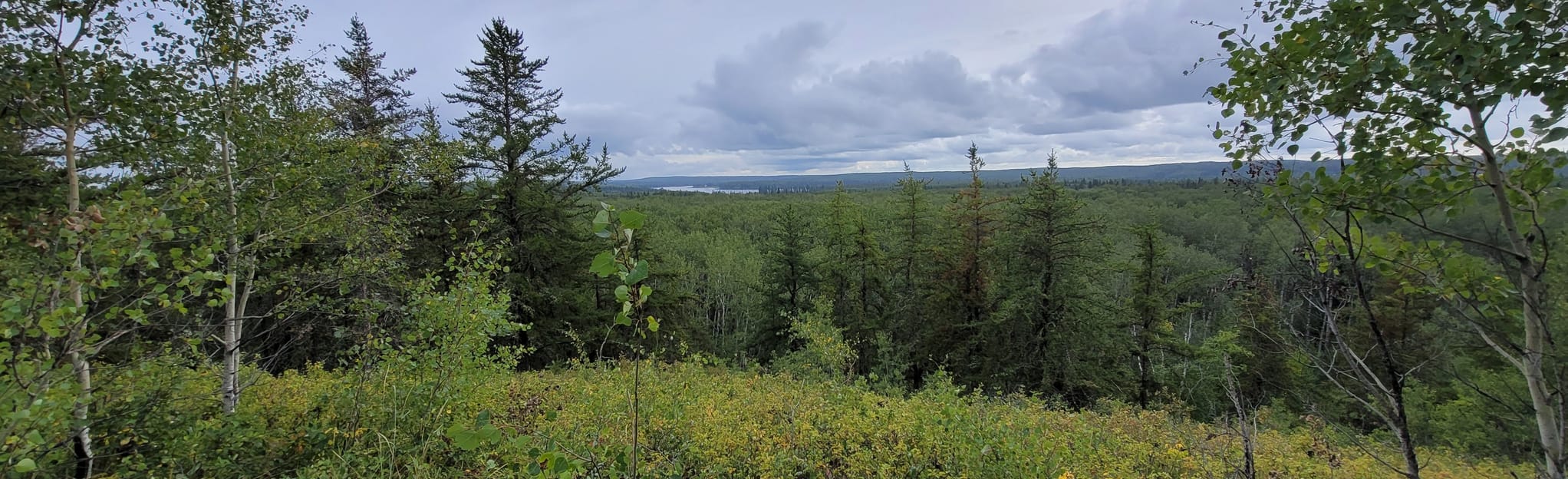 Spruce River Highlands Trail: 99 Reviews, Map - Saskatchewan, Canada ...