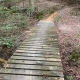 Marl Ravine Trail, Virginia - 52 Reviews, Map | AllTrails