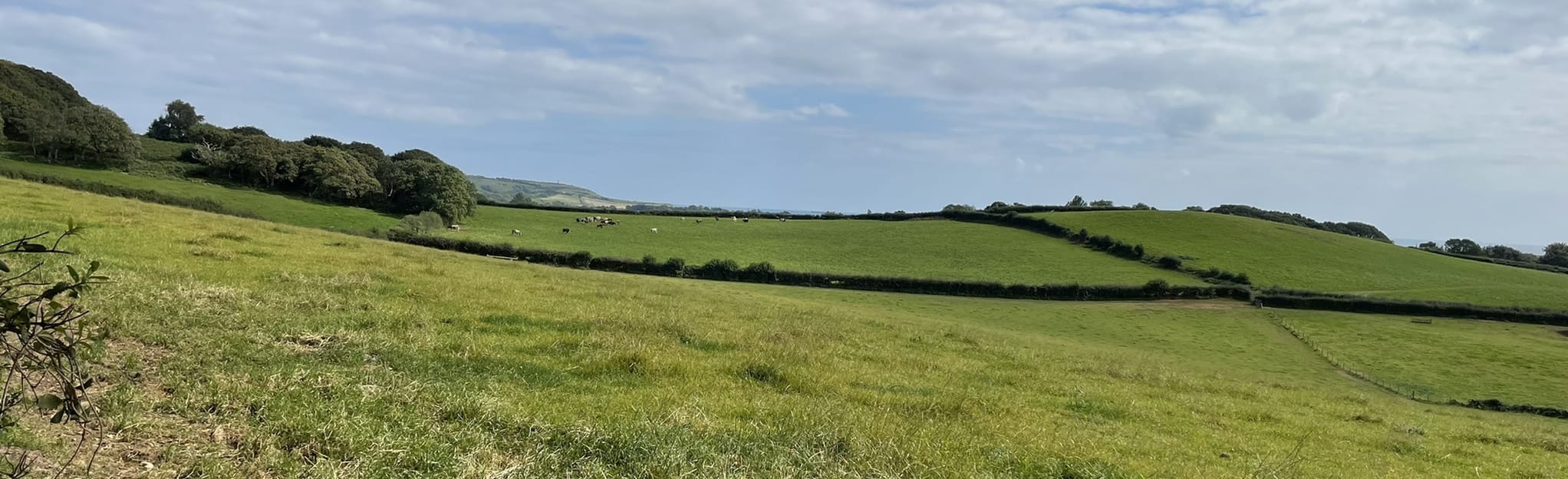 Knighton and Adgestone Circular | Mappa, Guida - Isle of Wight, England ...