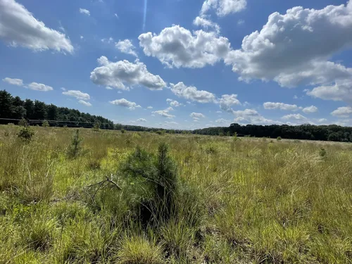 Best Hikes and Trails in Sand Ridge State Forest | AllTrails