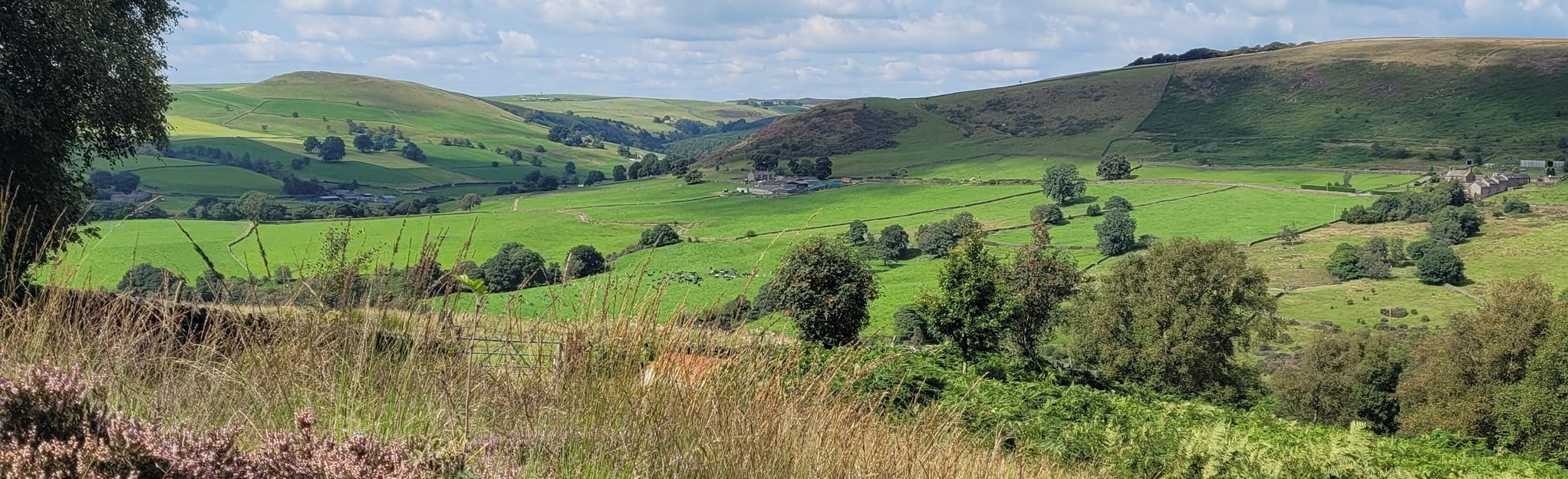 Gradbach and Lud's Church Circular: 3.549 foto's - Staffordshire ...